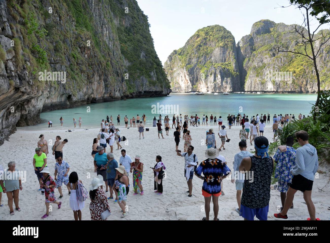 Maya Bay, on Ko Phi Phi Leh island of the Phi Phi Archipelago, is ...