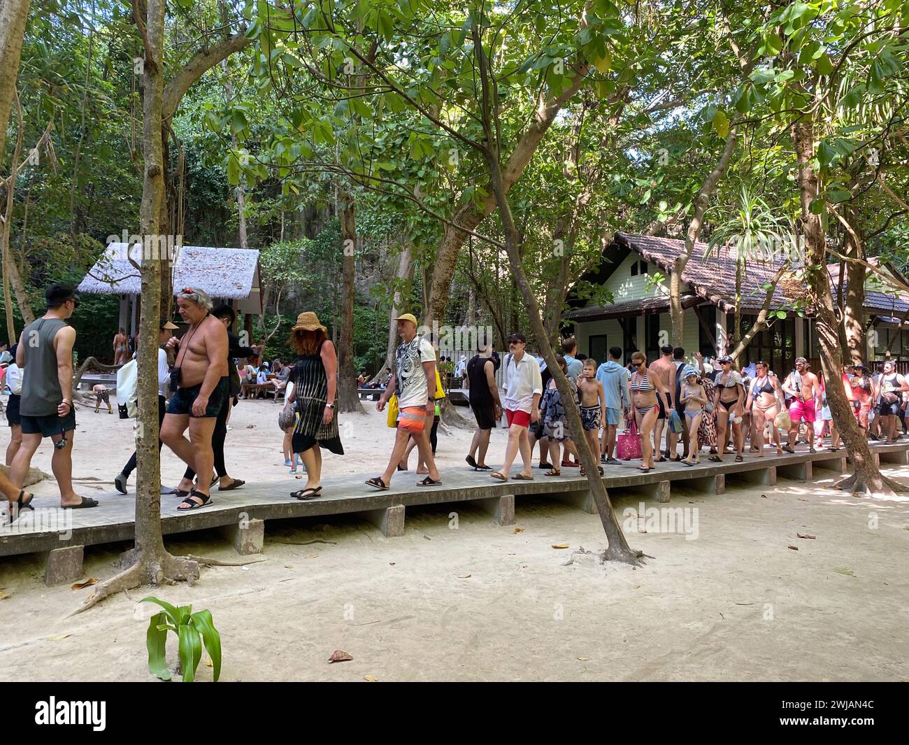 Maya Bay, on Ko Phi Phi Leh island of the Phi Phi Archipelago, is ...