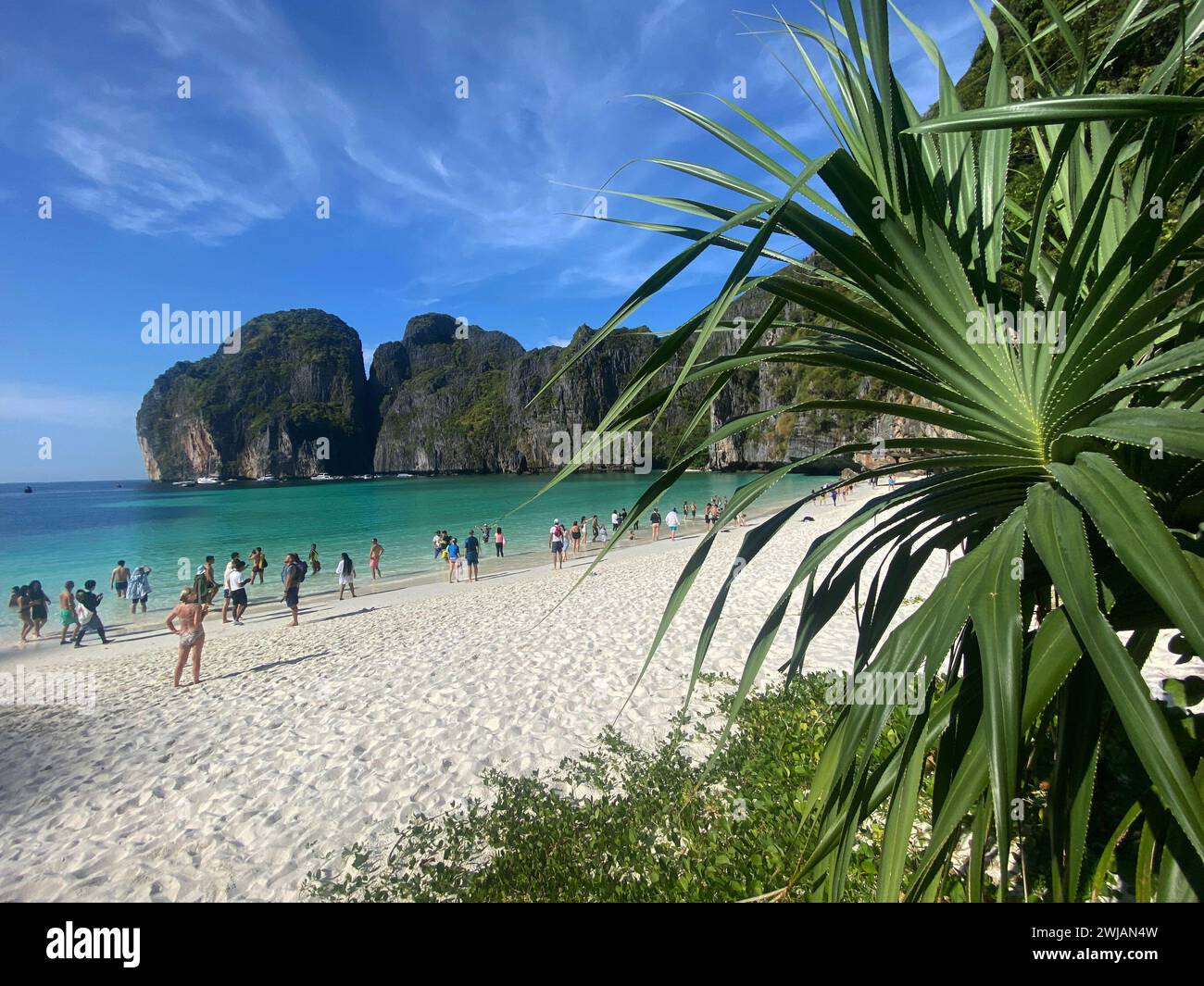 Maya Bay, on Ko Phi Phi Leh island of the Phi Phi Archipelago, is ...