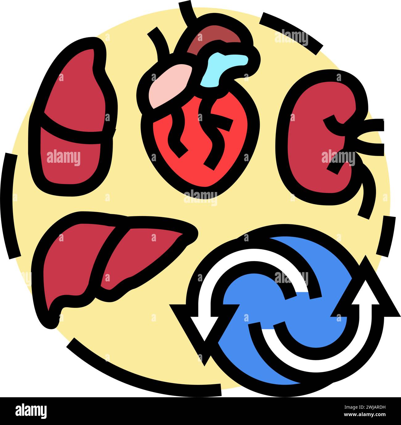 organ transplant surgery hospital color icon vector illustration Stock ...