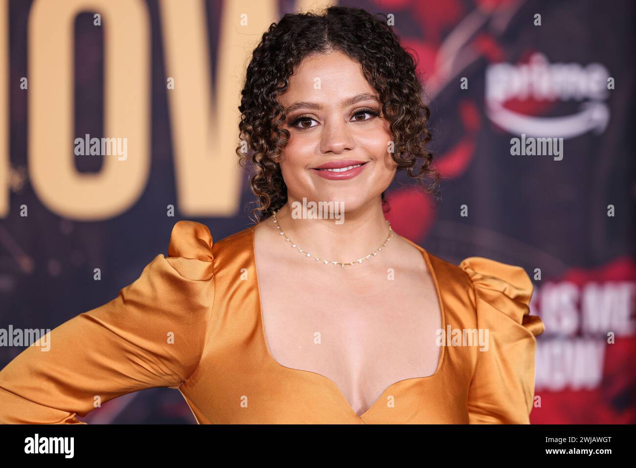 Hollywood, United States. 13th Feb, 2024. HOLLYWOOD, LOS ANGELES ...