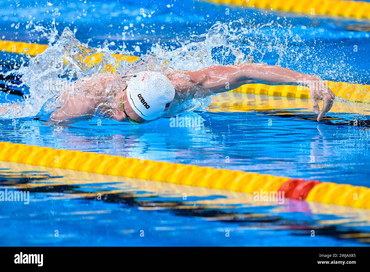 Doha, Qat. 14th Feb, 2024. Matt King from USA during World Aquatics ...