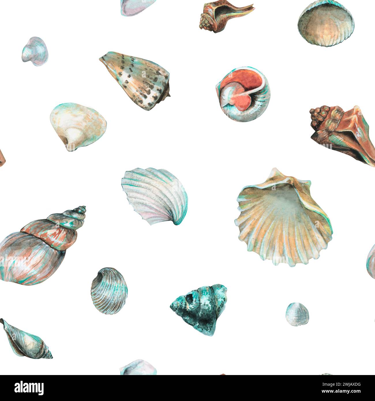 Seashell Pattern on isolated background. Hand drawn watercolor seamless ...