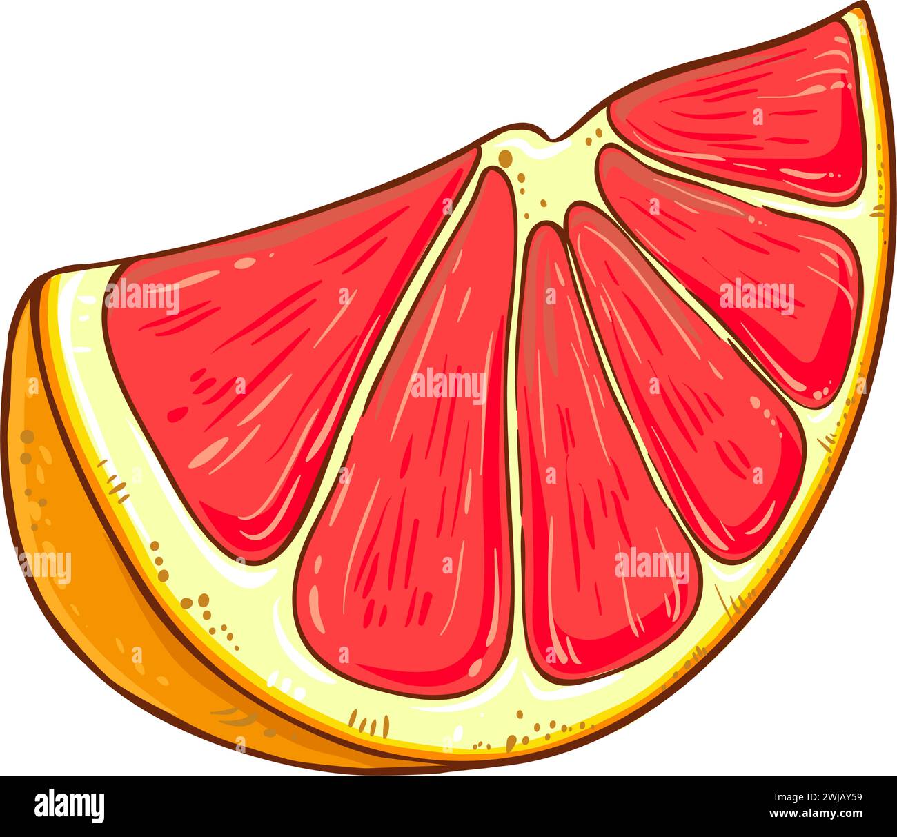 Grapefruit Fruit Colored Detailed Illustration Stock Vector Image & Art ... Grapefruit Fruit Colored Detailed Illustration Stock Vector Image & Art ...