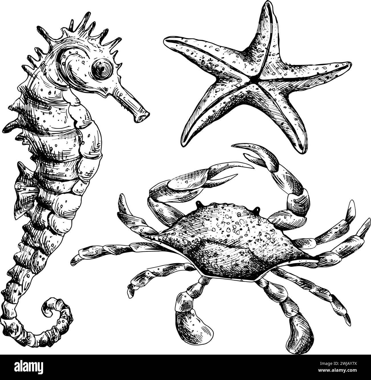 Underwater world clipart with sea animals seahorse, starfish, crab ...