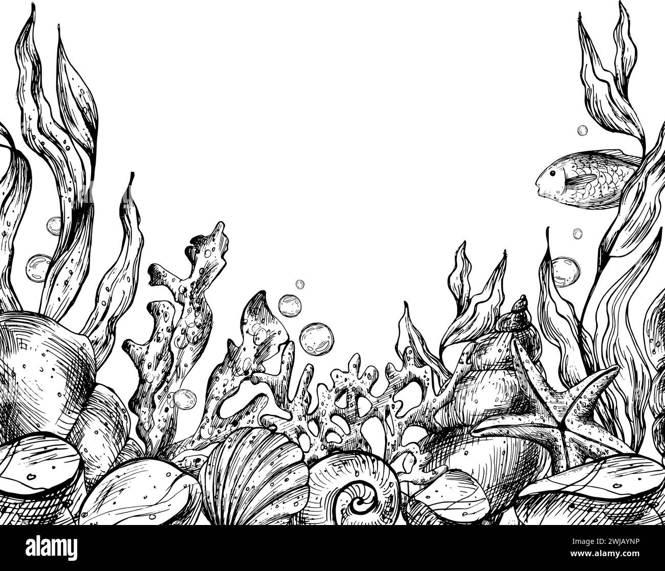 Underwater world clipart with sea animals whale, turtle, octopus ...