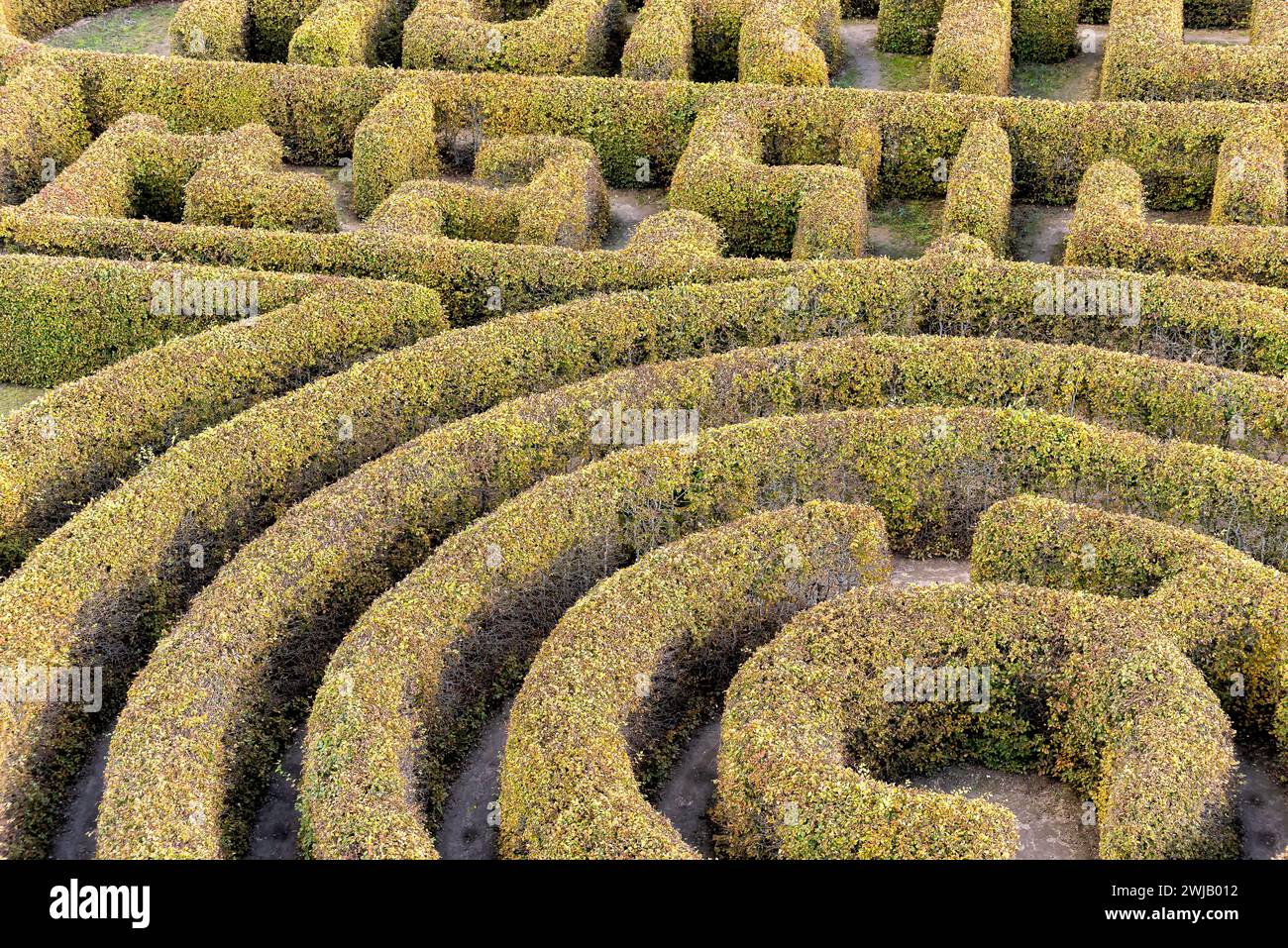 Labyrinth in a botanical garden in Poland Stock Photo - Alamy