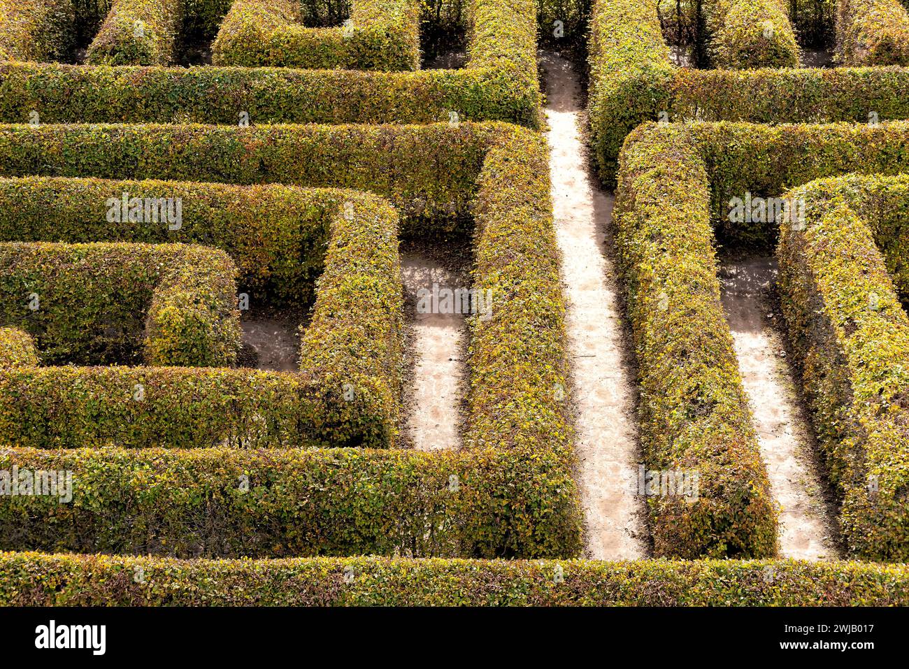 Maze hedge pattern labyrinth hi-res stock photography and images - Alamy
