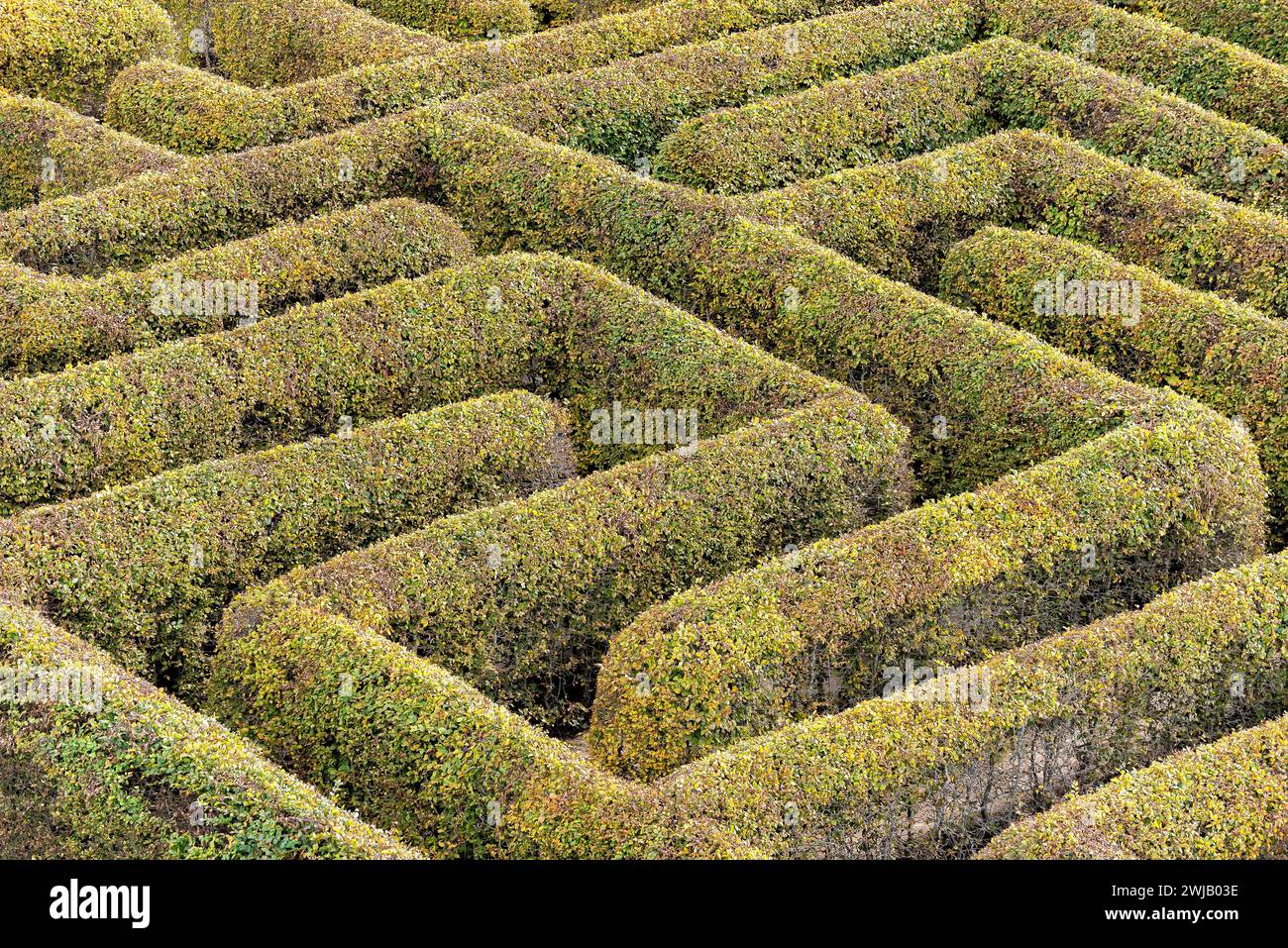 Labyrinth in a botanical garden in Poland Stock Photo - Alamy