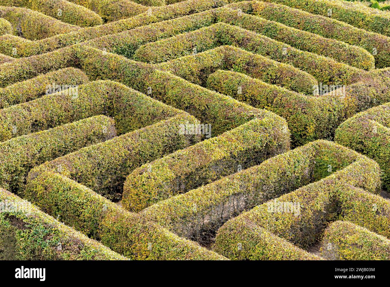 Labyrinth in a botanical garden in Poland Stock Photo - Alamy