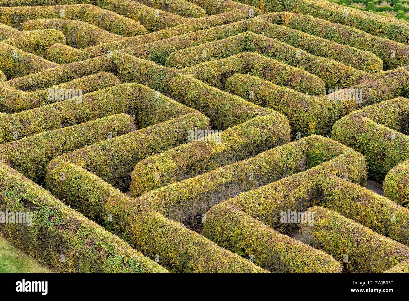 Labyrinth in a botanical garden in Poland Stock Photo - Alamy