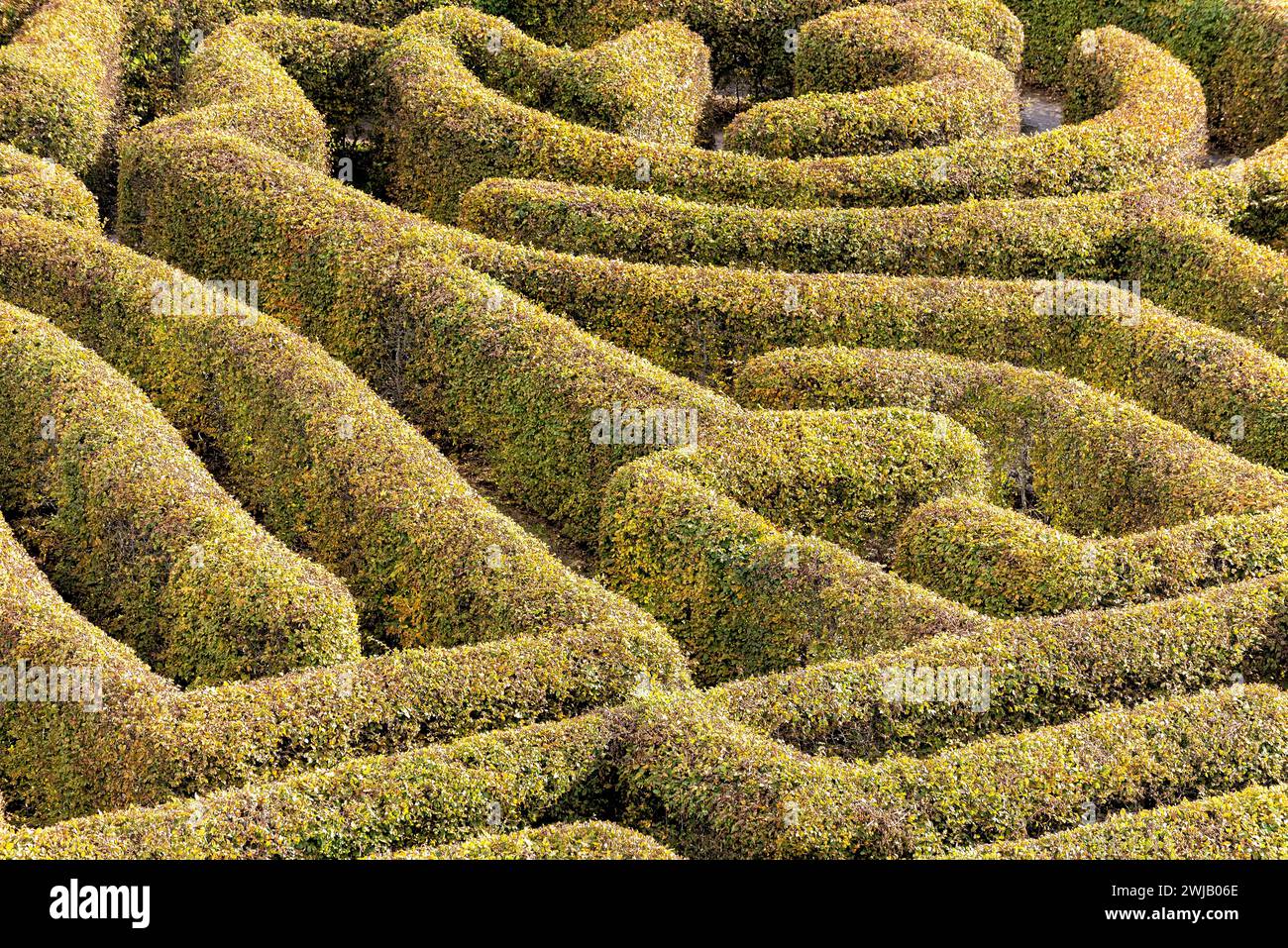 Labyrinth garden hi-res stock photography and images - Alamy