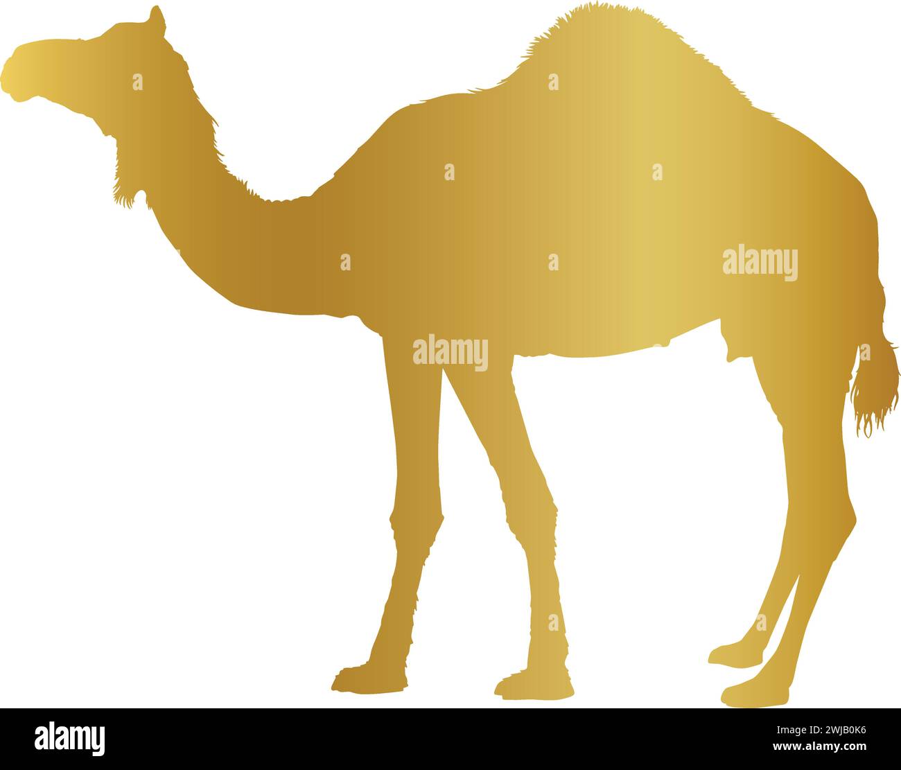 gold camel isolated background Stock Vector Image & Art - Alamy