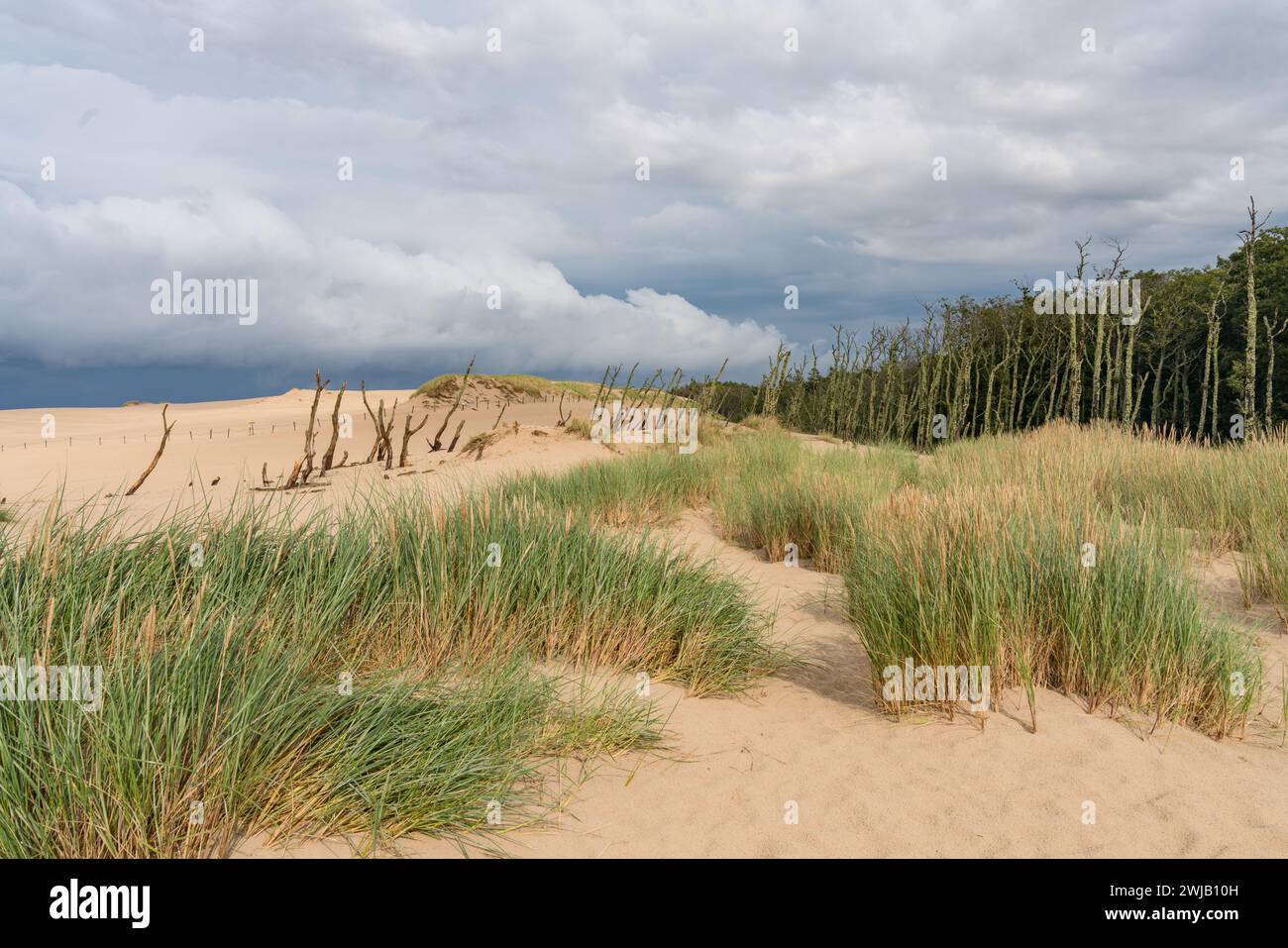 Leba lacka hi-res stock photography and images - Alamy