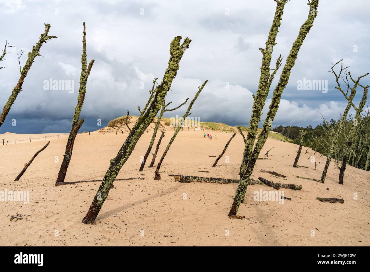 Grosse Wanderdüne in Leba Stock Photo - Alamy
