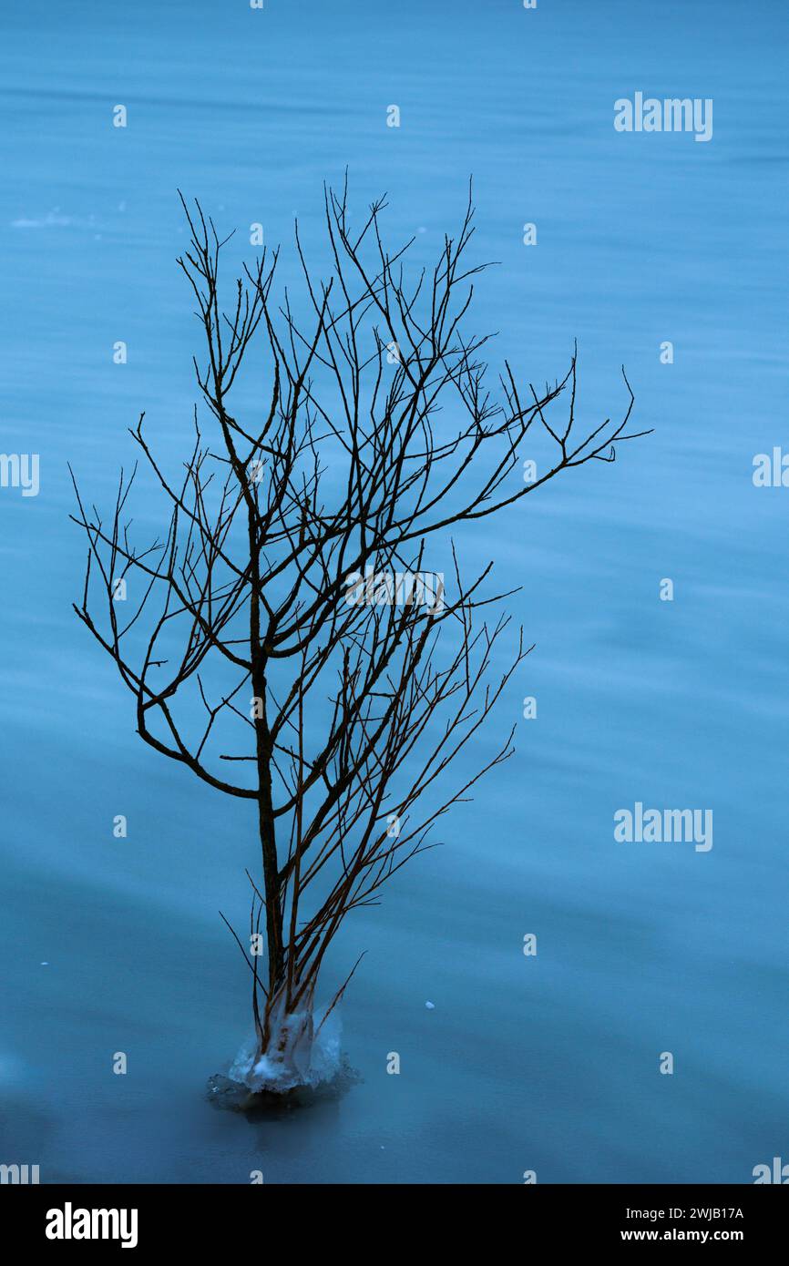 Frozen particles hi-res stock photography and images - Alamy