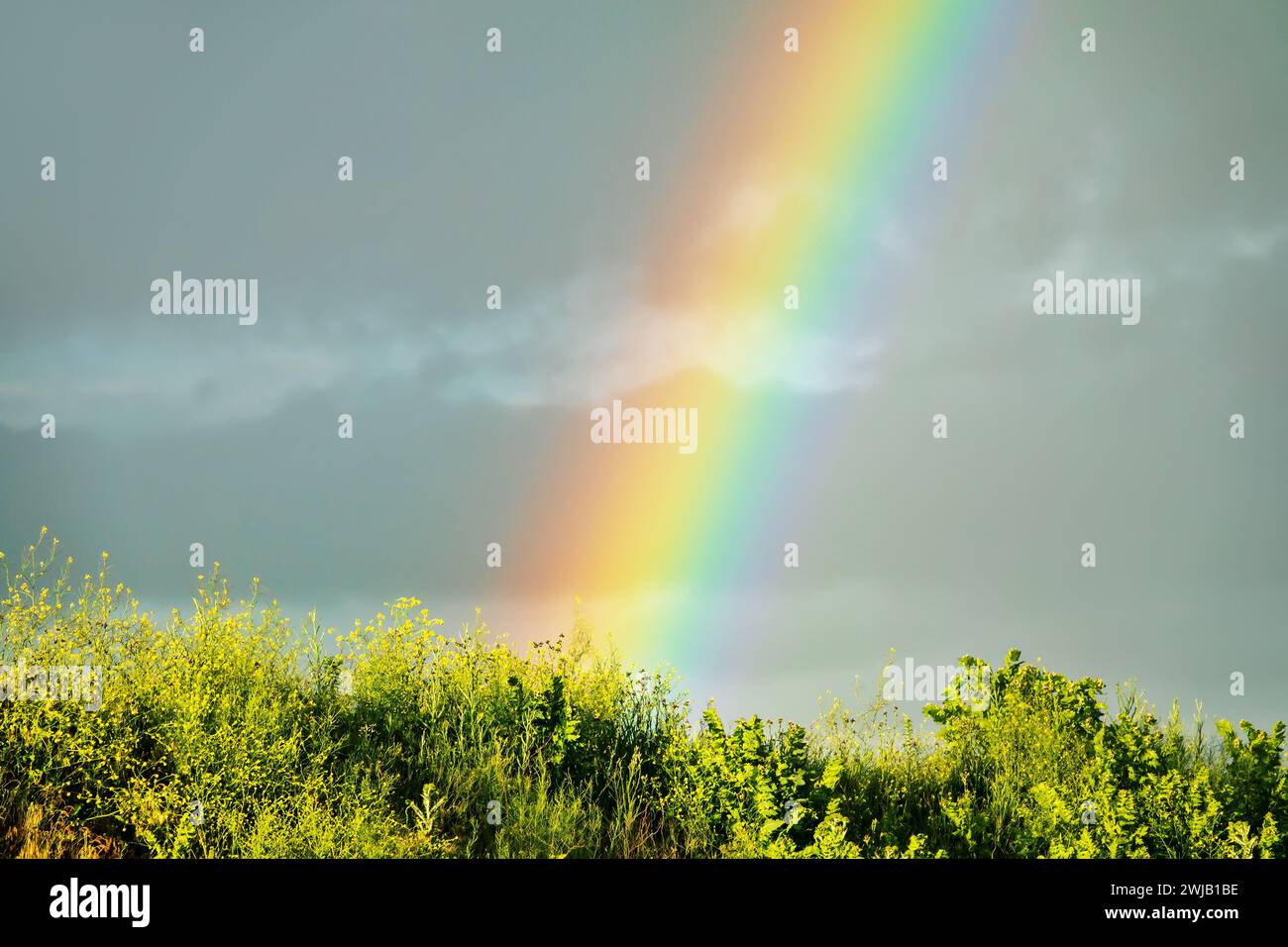 Double Rainbow over meadows Stock Photo - Alamy