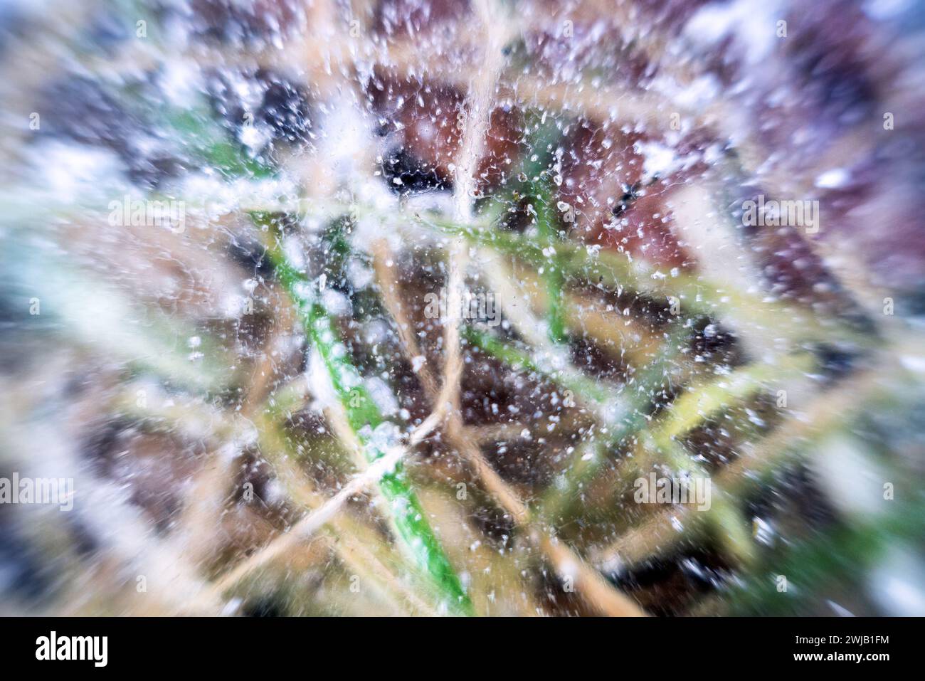 Frosted surface finish hi-res stock photography and images - Alamy