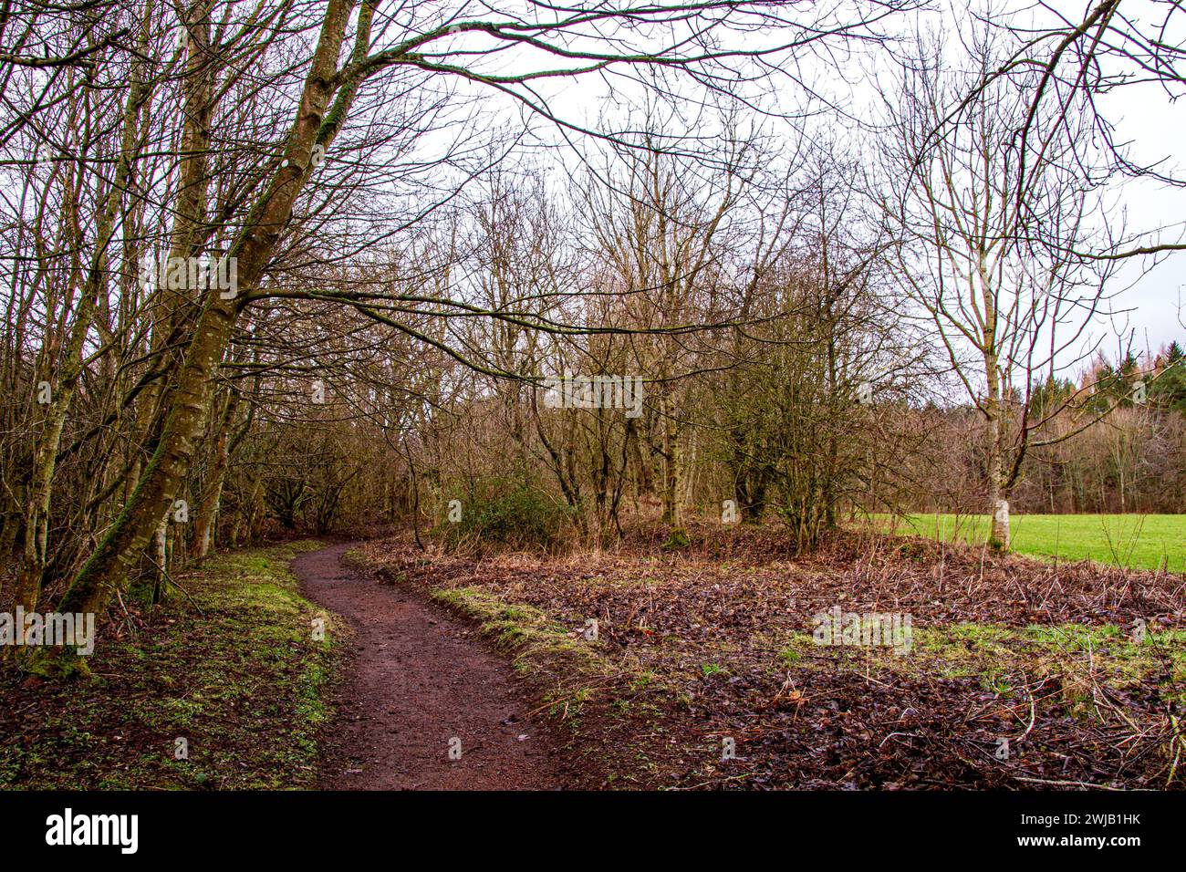 Dundee, Tayside, Scotland, UK. 14th Feb, 2024. UK Weather: Dull day ...