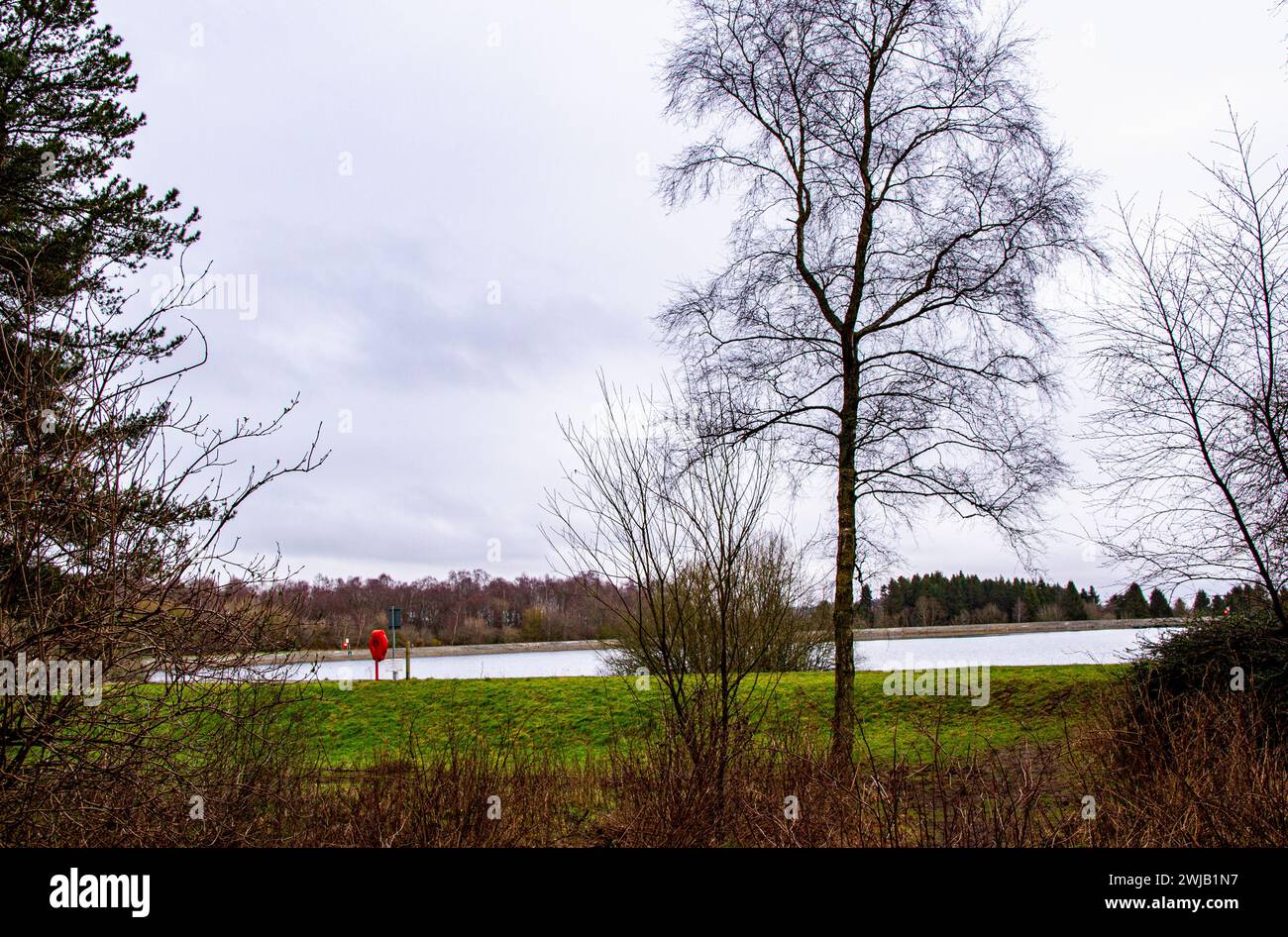 Dundee, Tayside, Scotland, UK. 14th Feb, 2024. UK Weather: Dull day ...