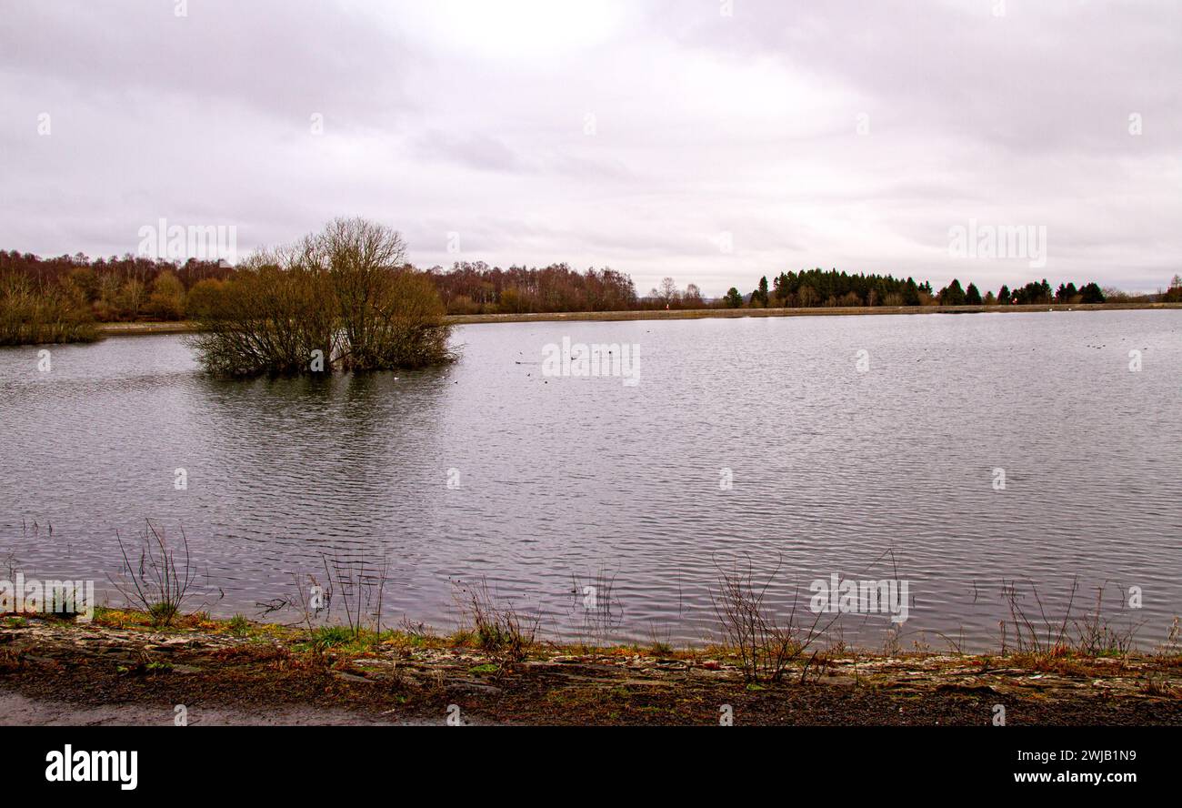 Dundee, Tayside, Scotland, UK. 14th Feb, 2024. UK Weather: Dull day ...