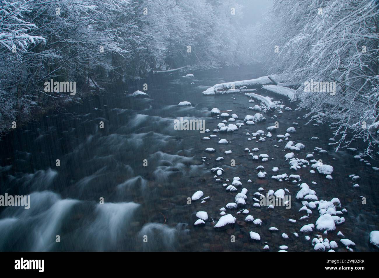 North Santiam River in snow, West Cascades Scenic Byway, Willamette ...