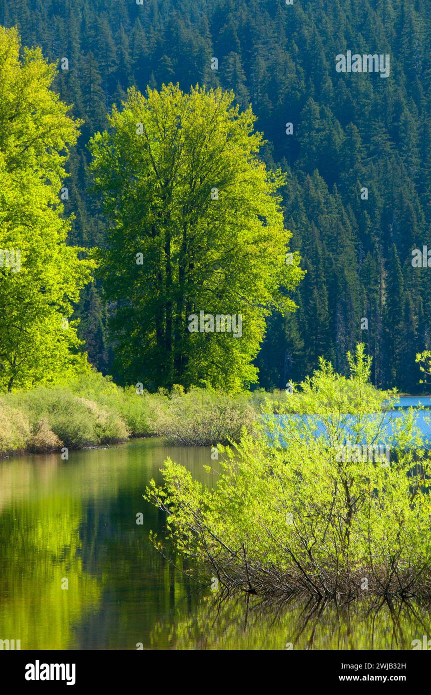 Lost Lake, Santiam Pass-McKenzie Pass National Scenic Byway, Willamette ...