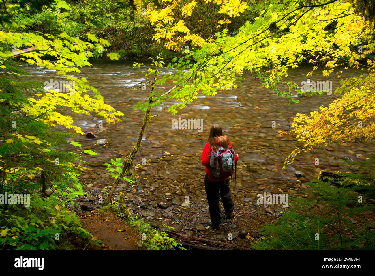 North Fork of the Middle Fork Willamette Wild and Scenic River ...