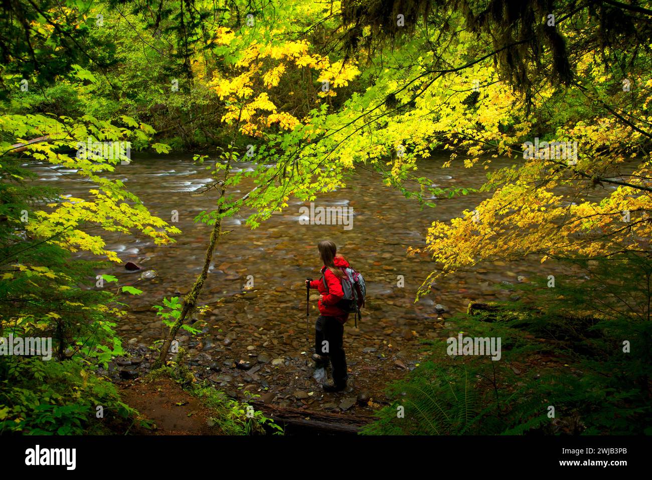 North Fork of the Middle Fork Willamette Wild and Scenic River ...