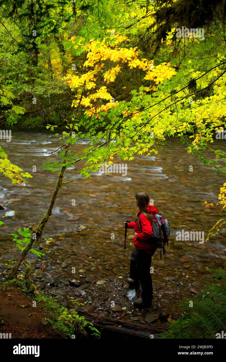 North Fork of the Middle Fork Willamette Wild and Scenic River ...