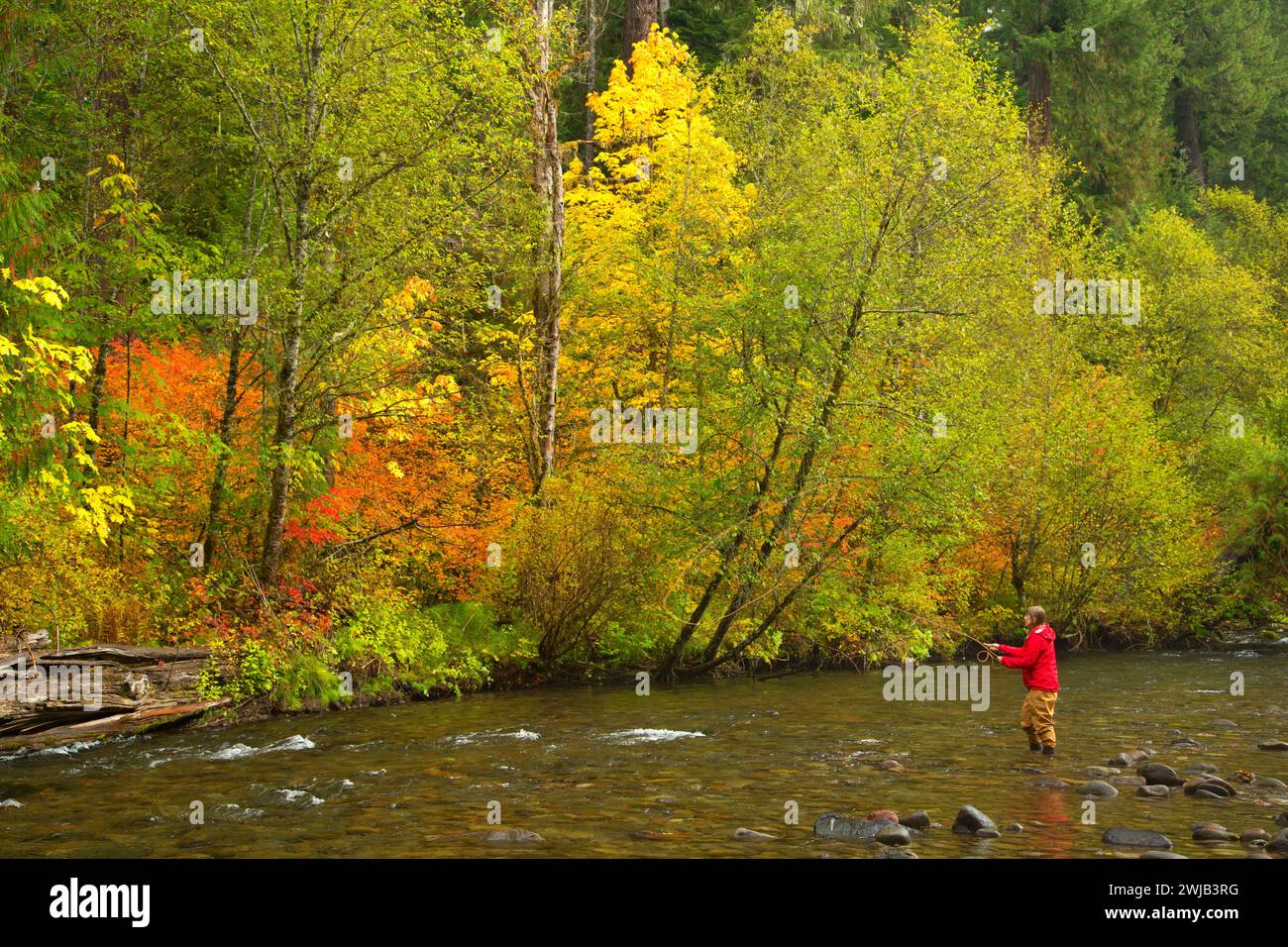 Flyfishing, North Fork of the Middle Fork Willamette Wild and Scenic ...