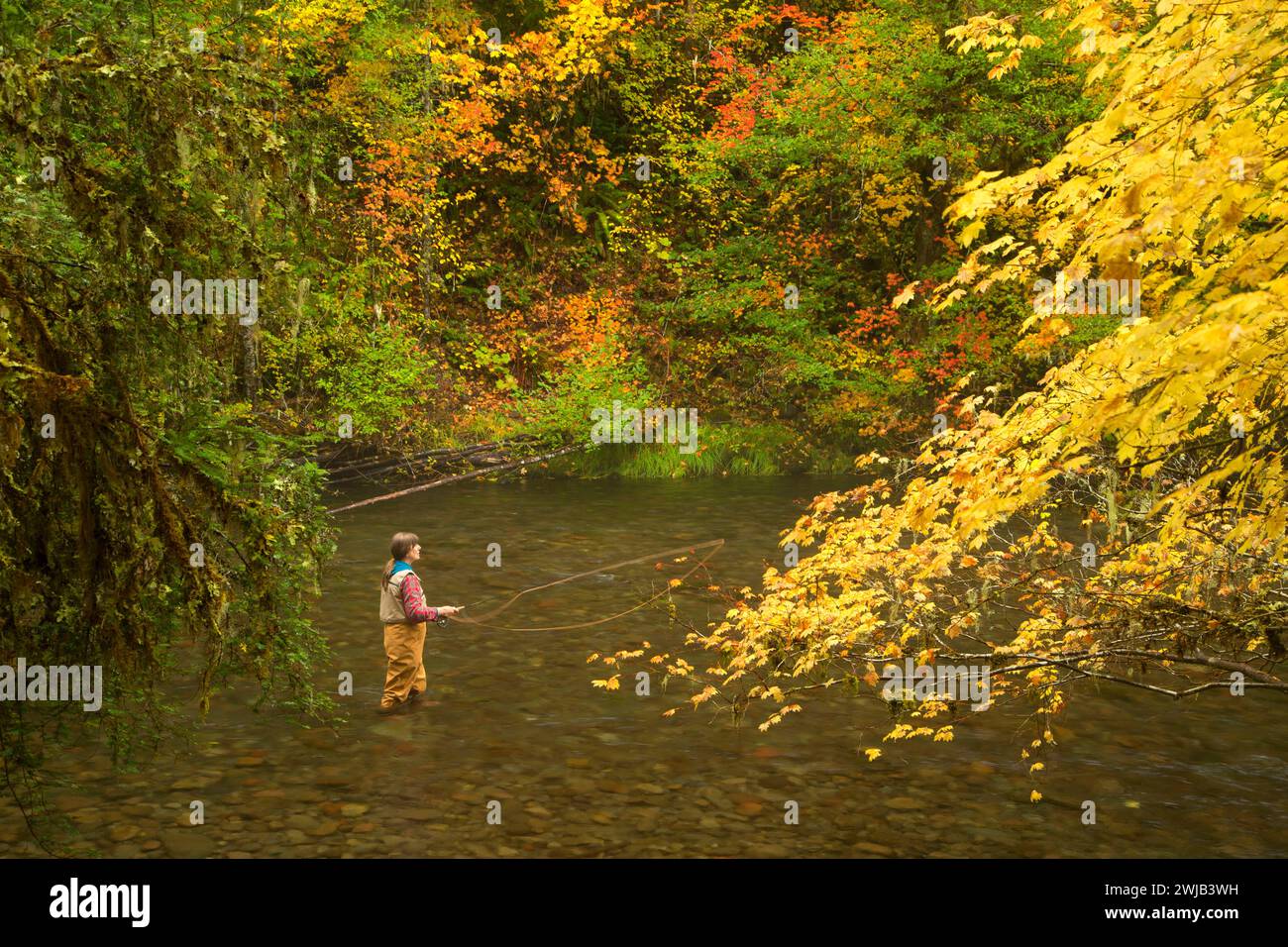 Flyfishing, North Fork of the Middle Fork Willamette Wild and Scenic ...
