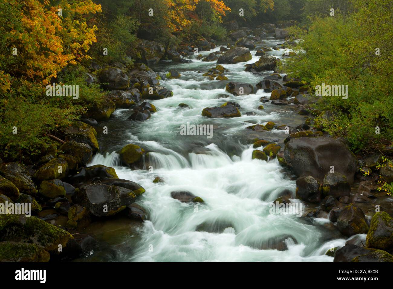 North Fork of the Middle Fork Willamette Wild and Scenic River ...