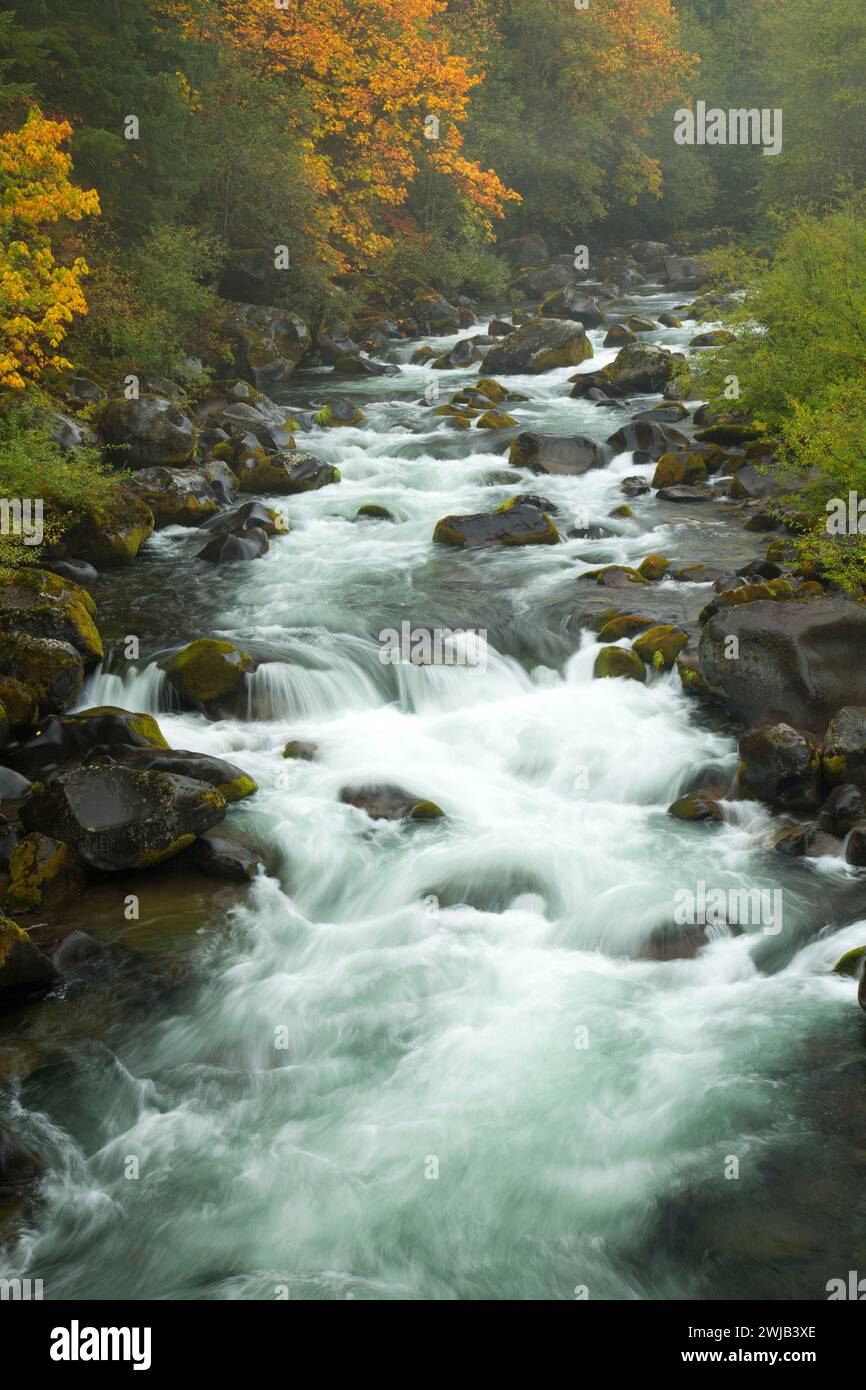 North Fork of the Middle Fork Willamette Wild and Scenic River ...