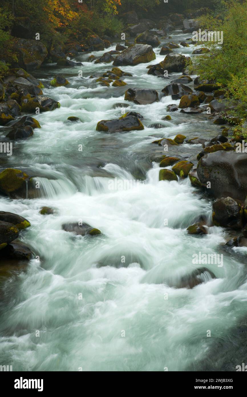 North Fork of the Middle Fork Willamette Wild and Scenic River ...