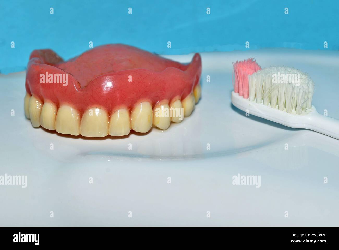 On a blue background lies the upper false jaw with white teeth Stock ...