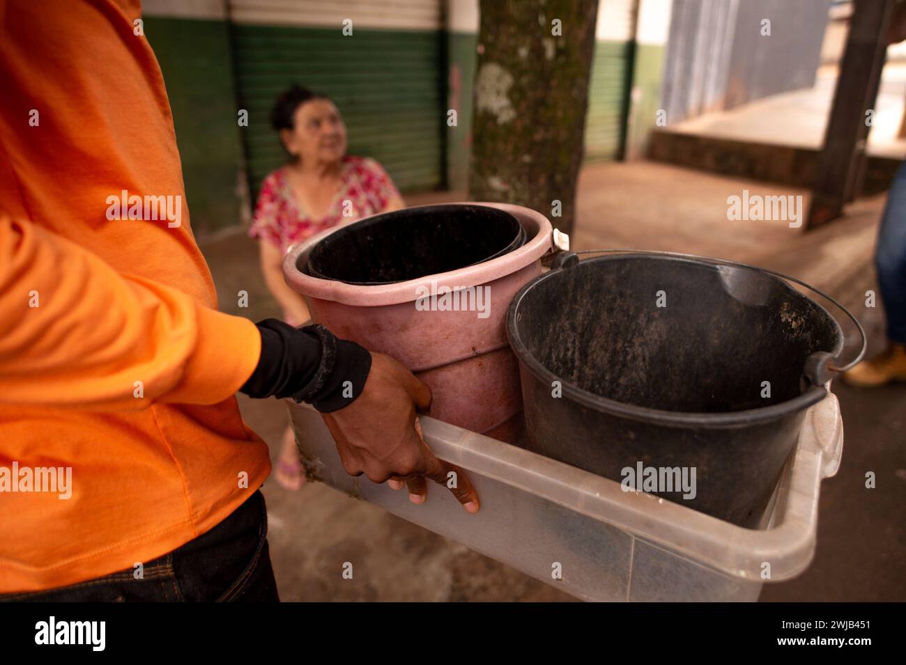 PR - LONDRINA - 02/14/2024 - FIGHTING THE AEDES AEGYPTI MOSQUITO ...