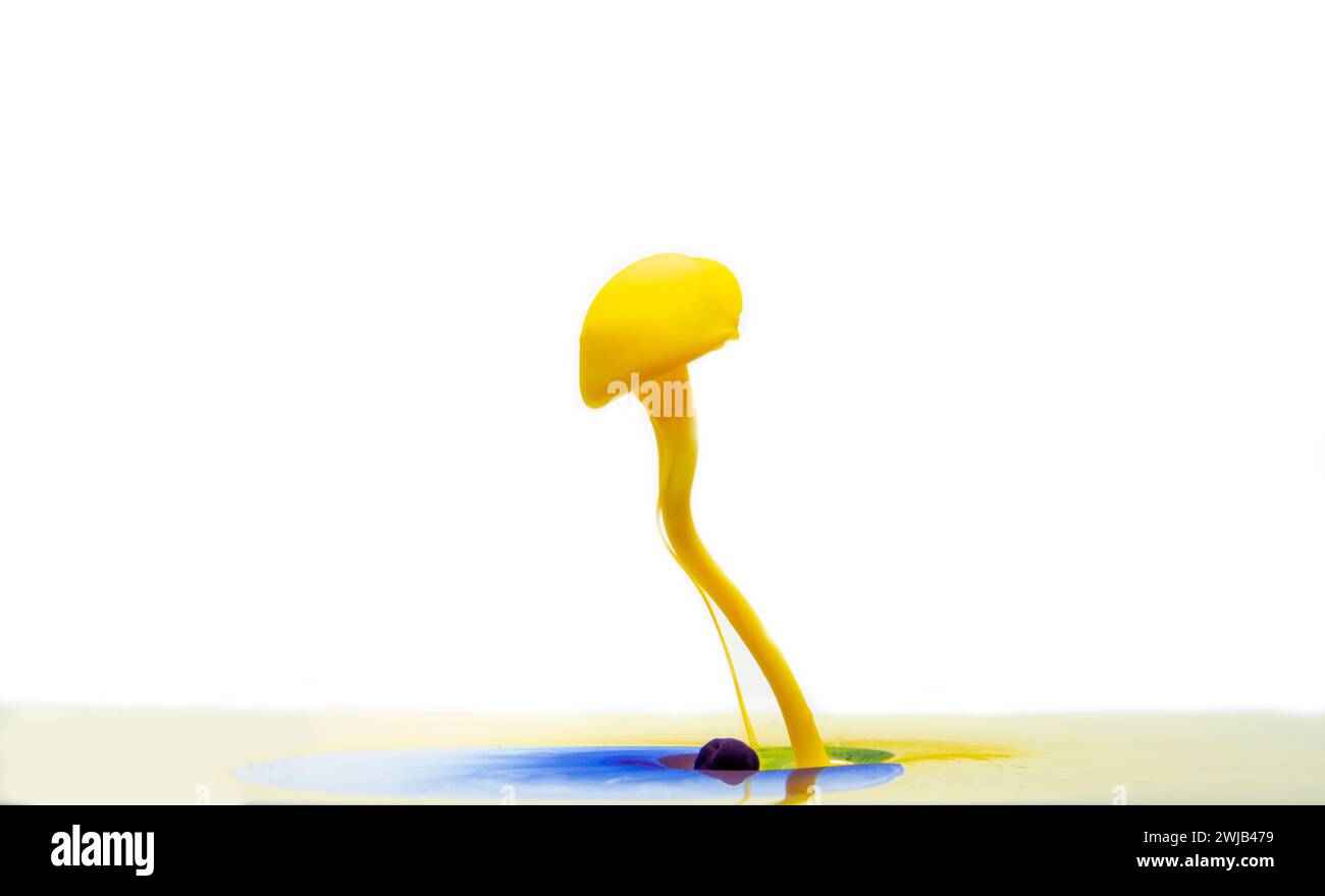 Colors dropped into liquid and photographed while in motion on white ...