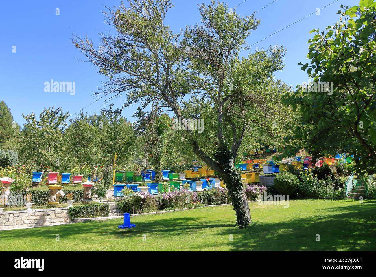 Colorful Beehives in Albania. Collection of Hives with Colonies of Bees ...