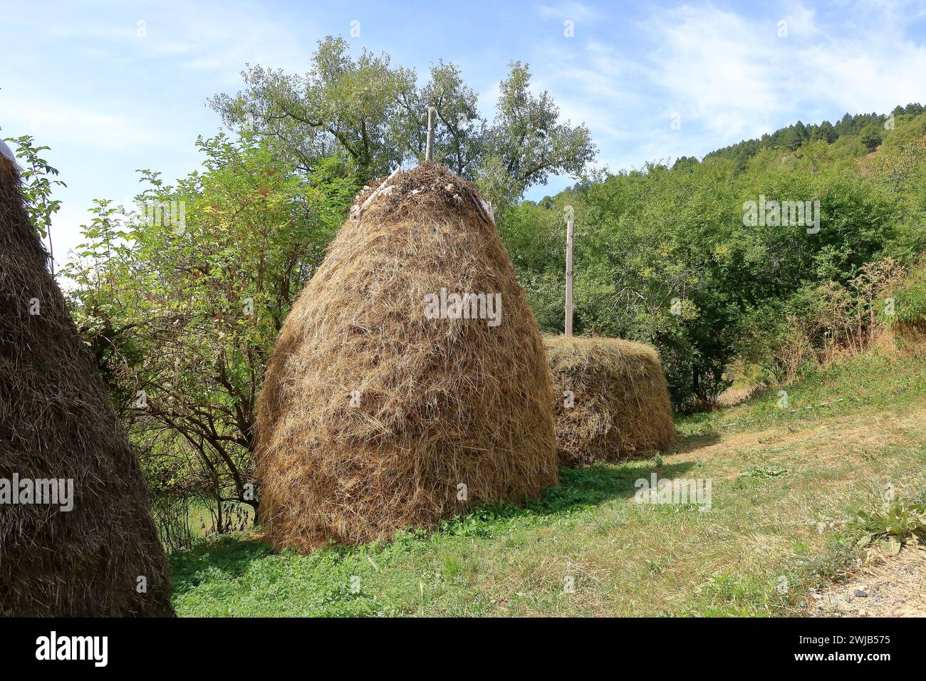 Wheat in albania hi-res stock photography and images - Alamy