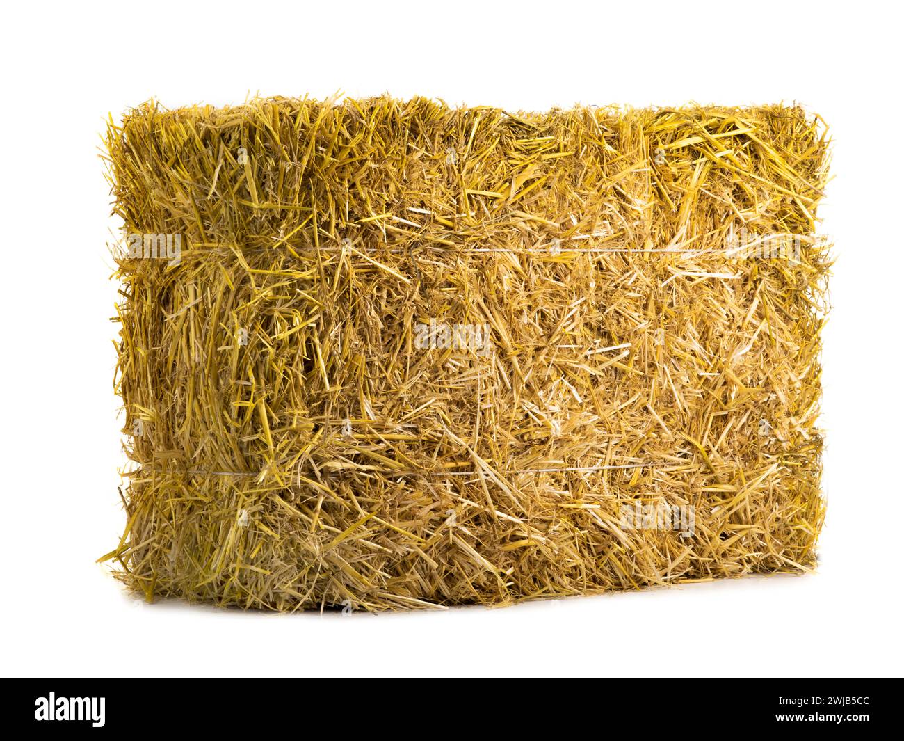 yellow dry barley straw isolated on white background Stock Photo - Alamy