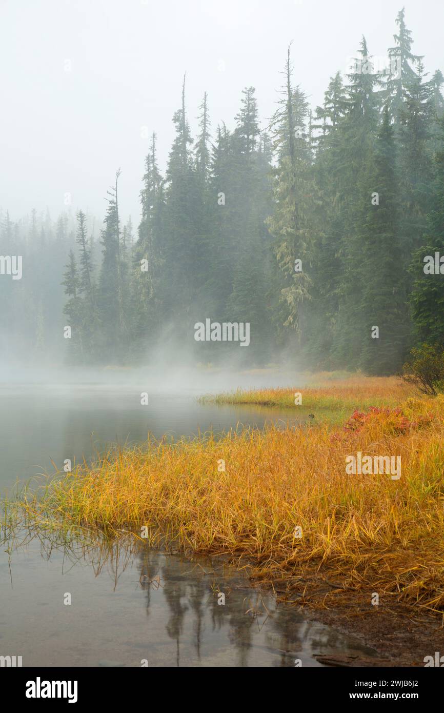Timpanogas Lake, Cascade Lakes Recreation Area, Willamette National ...