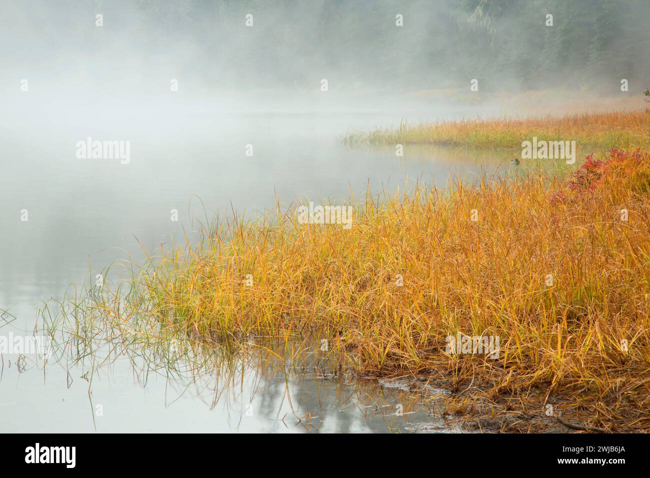 Timpanogas Lake, Cascade Lakes Recreation Area, Willamette National ...