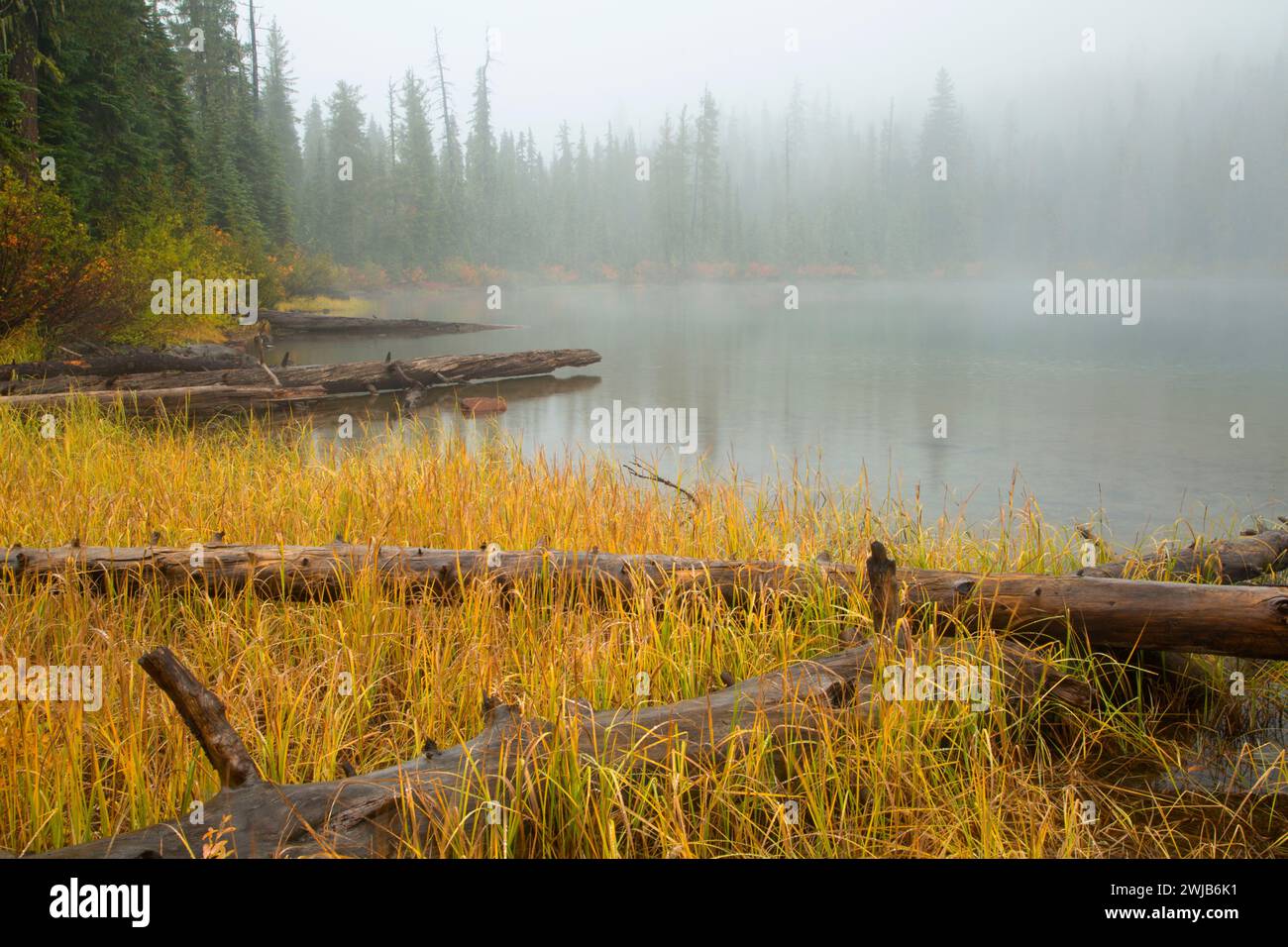 Timpanogas Lake, Cascade Lakes Recreation Area, Willamette National ...