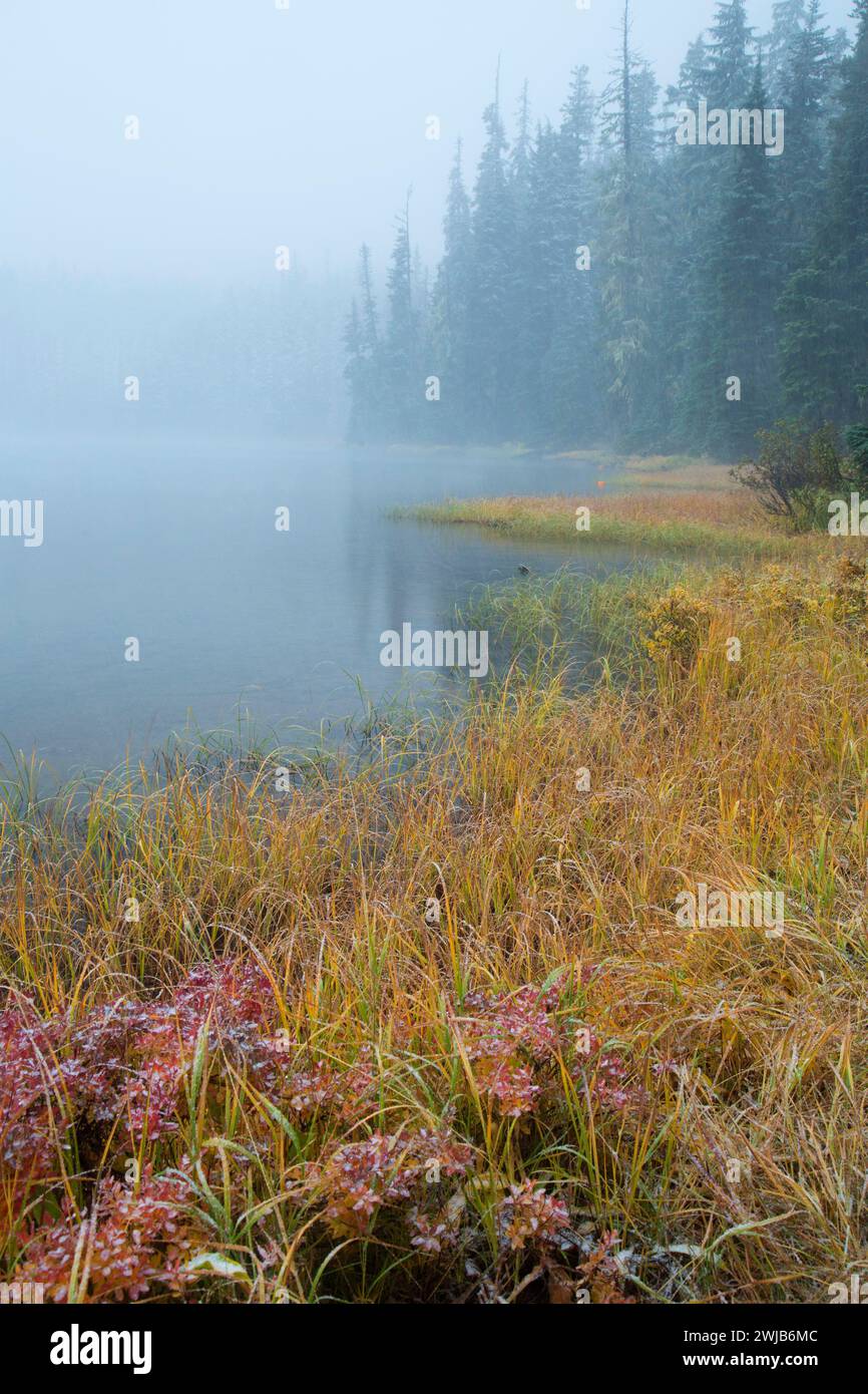 Timpanogas Lake, Cascade Lakes Recreation Area, Willamette National ...