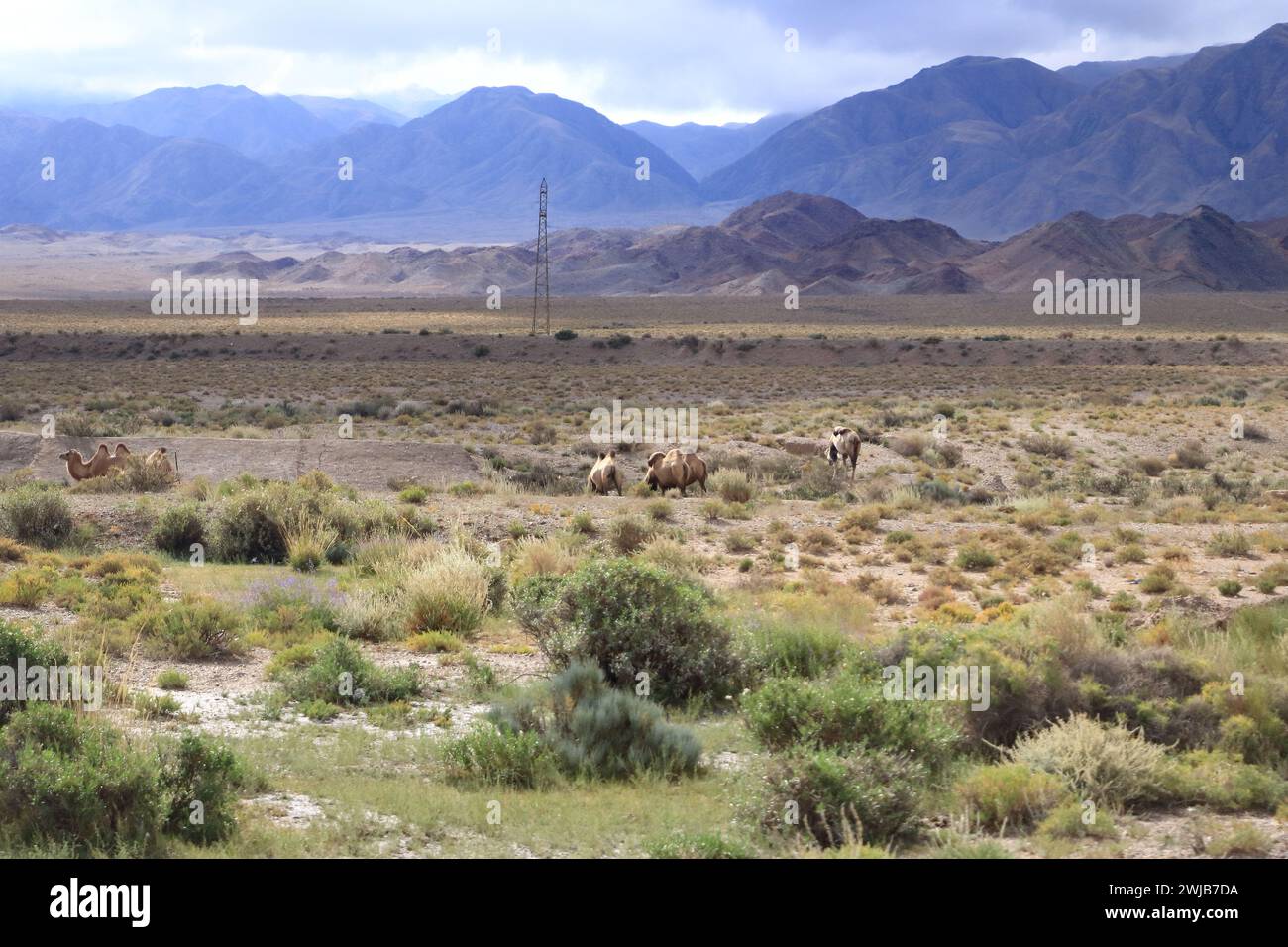 landscape view in the region of Issyk-Kul Lake near the Orto Tokoy ...