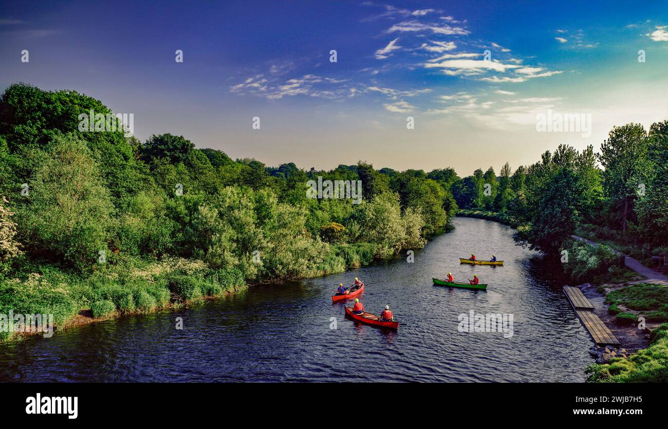 Twin seater Canoes on the River Lagan at Shaw's Bridge, Lagan Valley ...