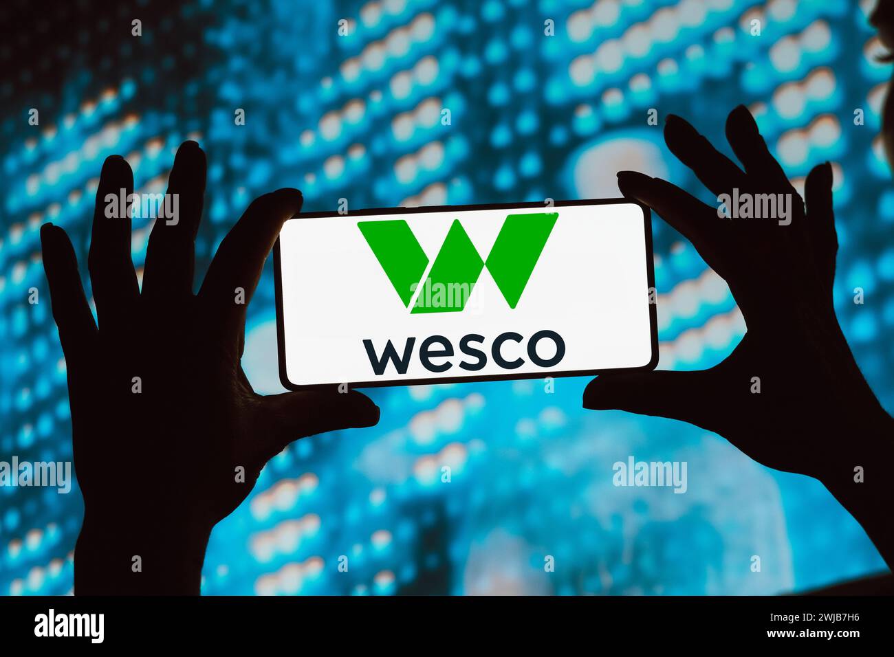 Brazil. 14th Feb, 2024. In this photo illustration, the WESCO ...