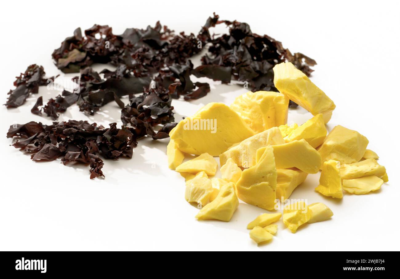 Irish Dulse seaweed dried and ready to eat with Yellowman honeycomb ...