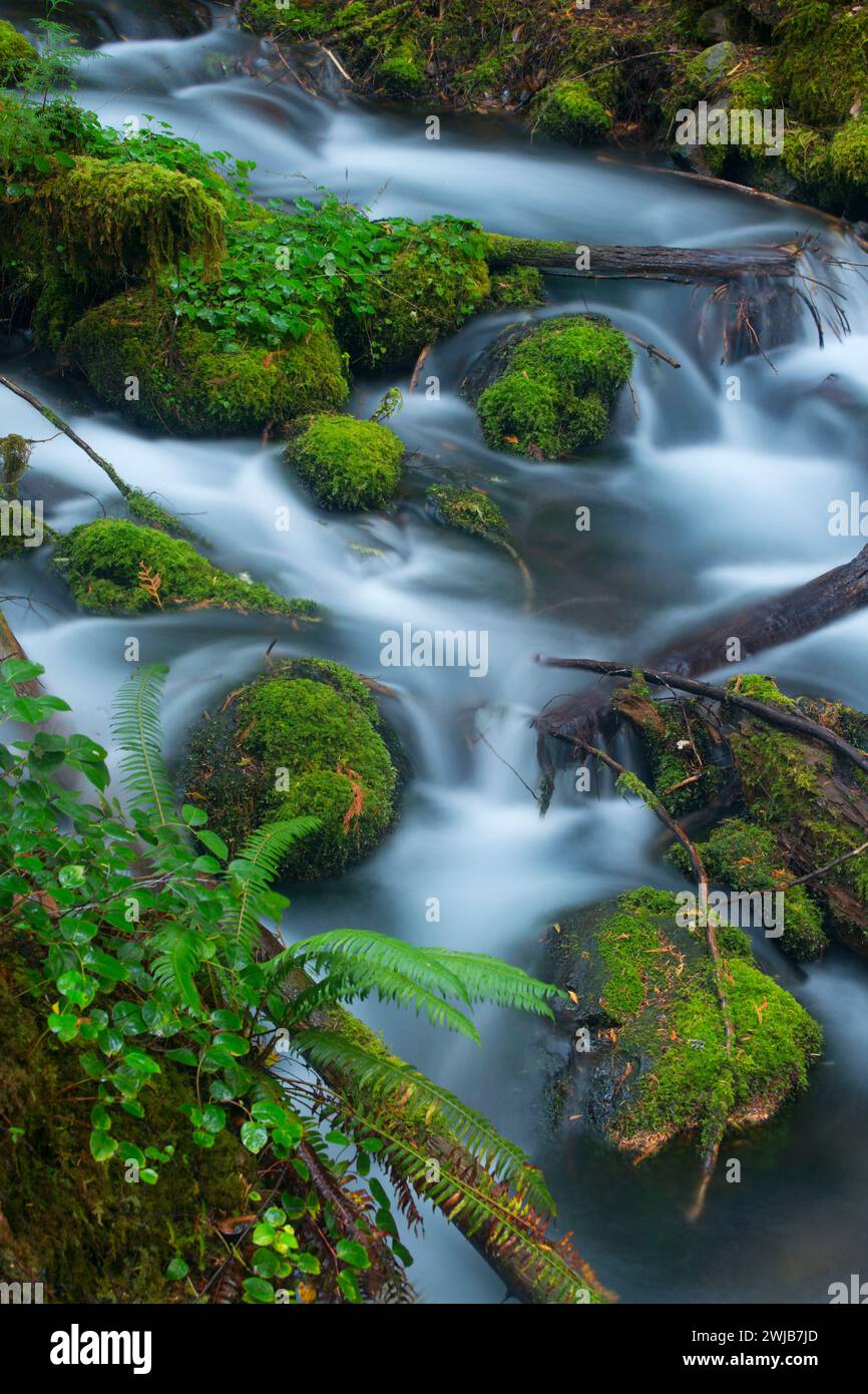 Indigo creek at indigo springs hi-res stock photography and images - Alamy